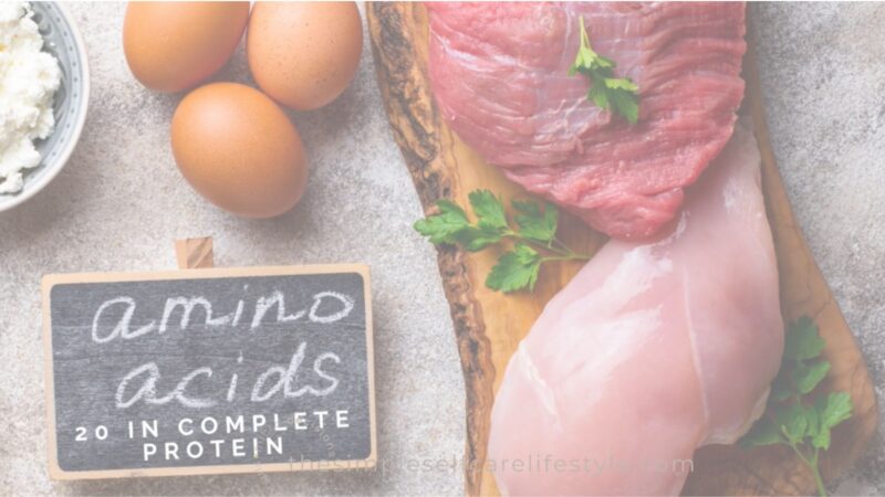 Why Proteins Are Important Part 2 of 3 - The Simple Self Care Lifestyle