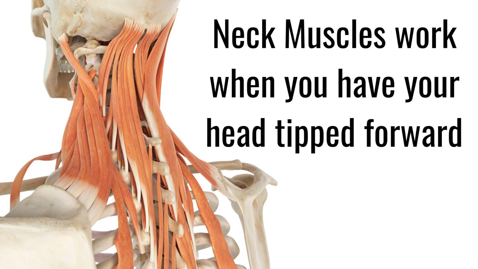 Dowagers Hump - The Simple Self Care Lifestyle