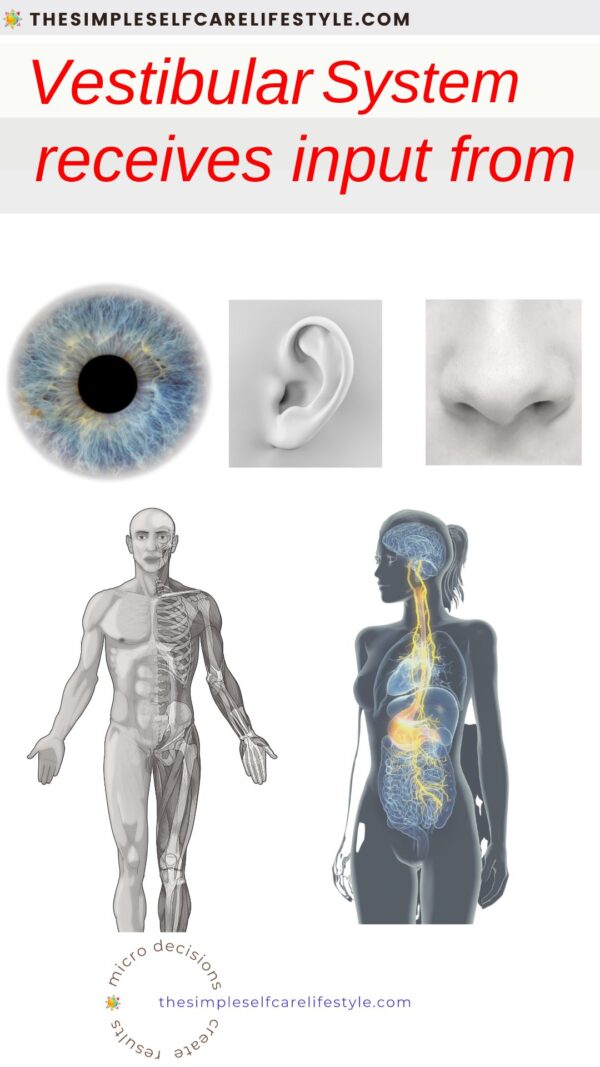 What Helps for Vertigo