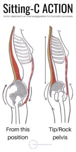 Pregnant? The Absolute BEST Pelvic Floor Exercise!